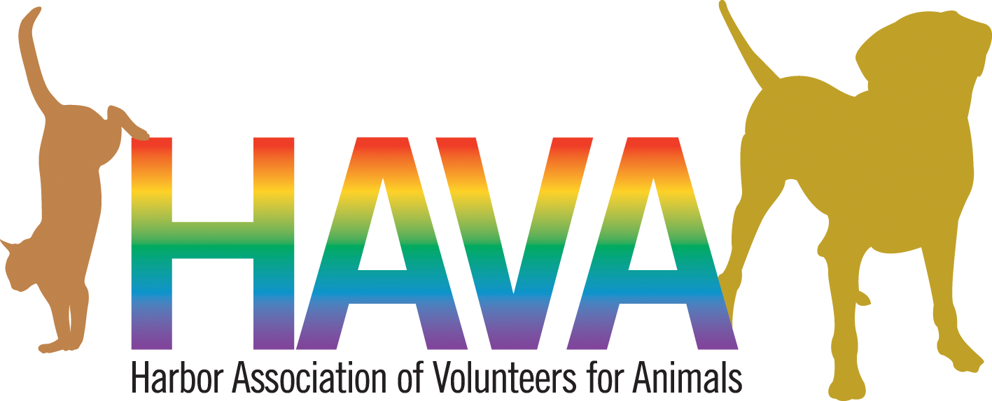 Adoption Information – HAVA